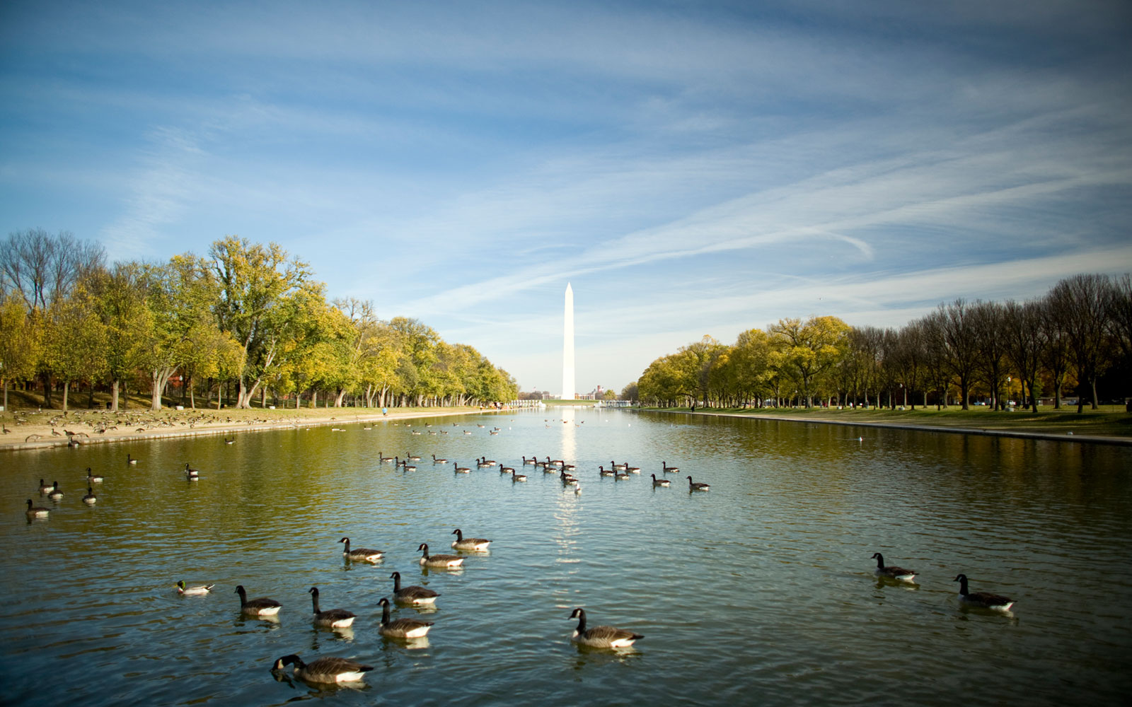 Iconic Washington Monument: Tours and Views From The Top